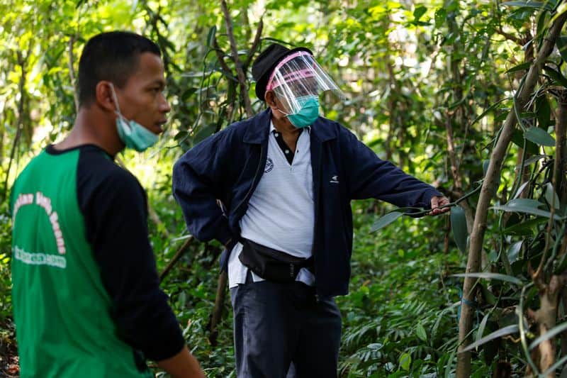 Vanilla, a global history - Sạp Báo Nhỏ